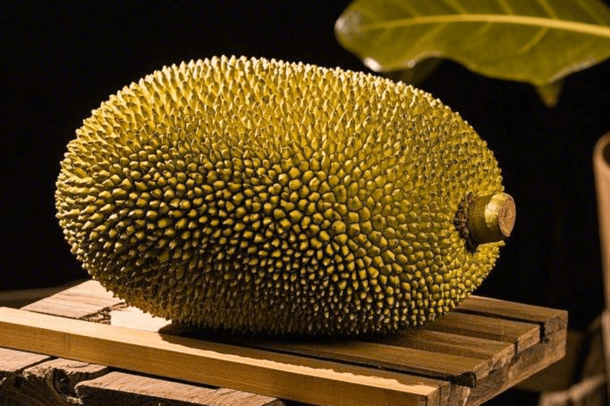How To Grow Jackfruit Tree: कटहल का पेड़ कैसे लगाएं? जानिए सही समय और ...