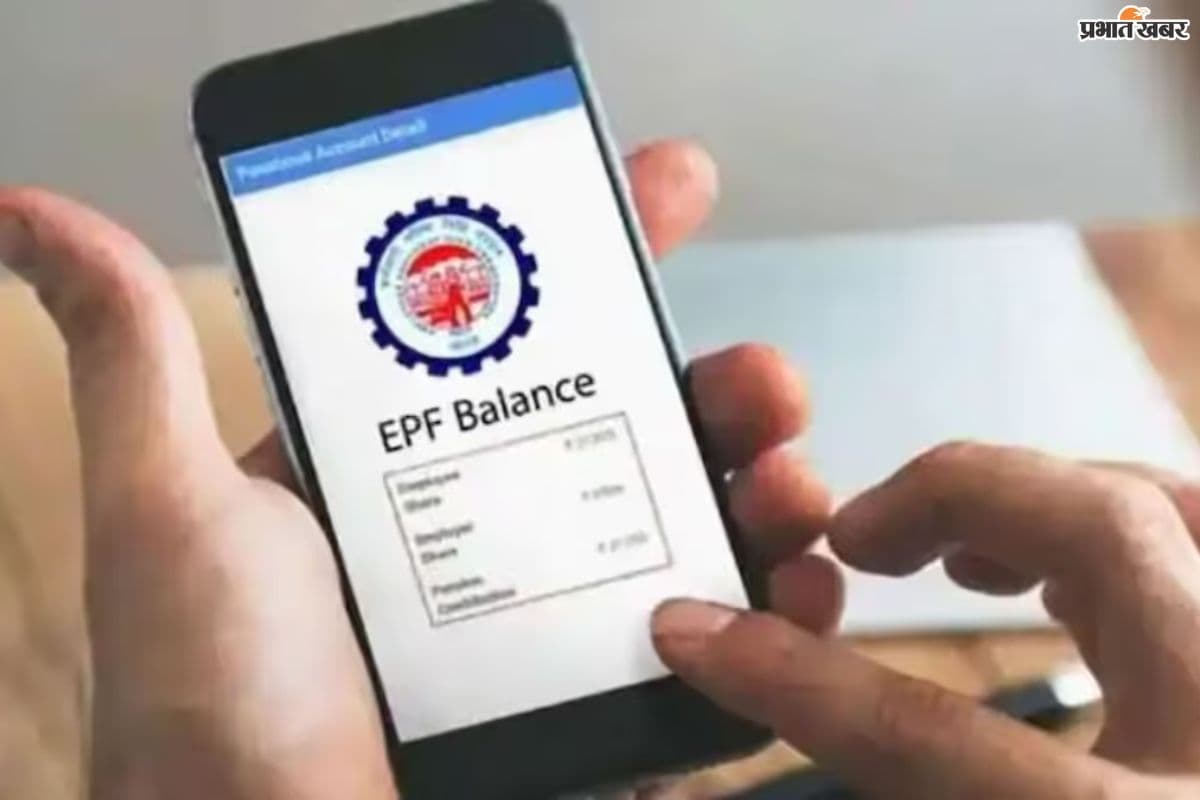 EPFO Passbook Lite: क्या है EPFO पासबुक लाइट और यह सामान्य पासबुक से ...
