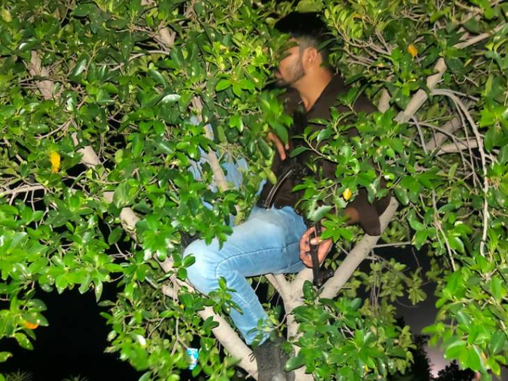 Mathura Policemen climbs tree arrested stone pelting robbers