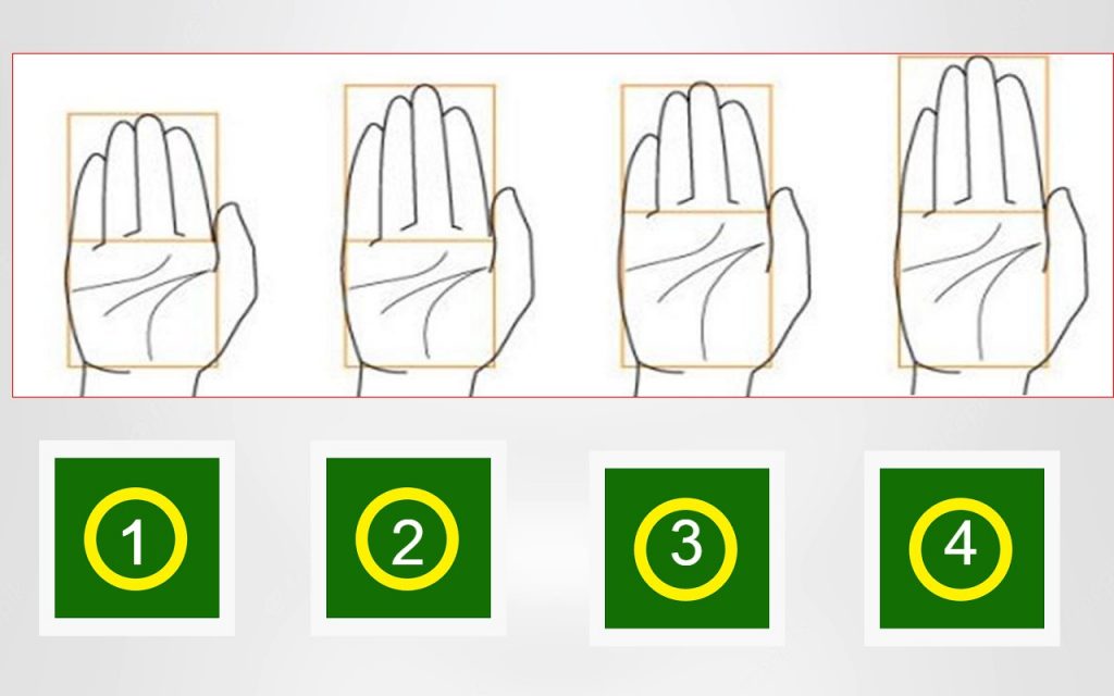 Know your personality from shape length of palms and fingers