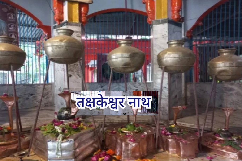 Nag Panchami 2023, Takshak Teerth Prayagraj