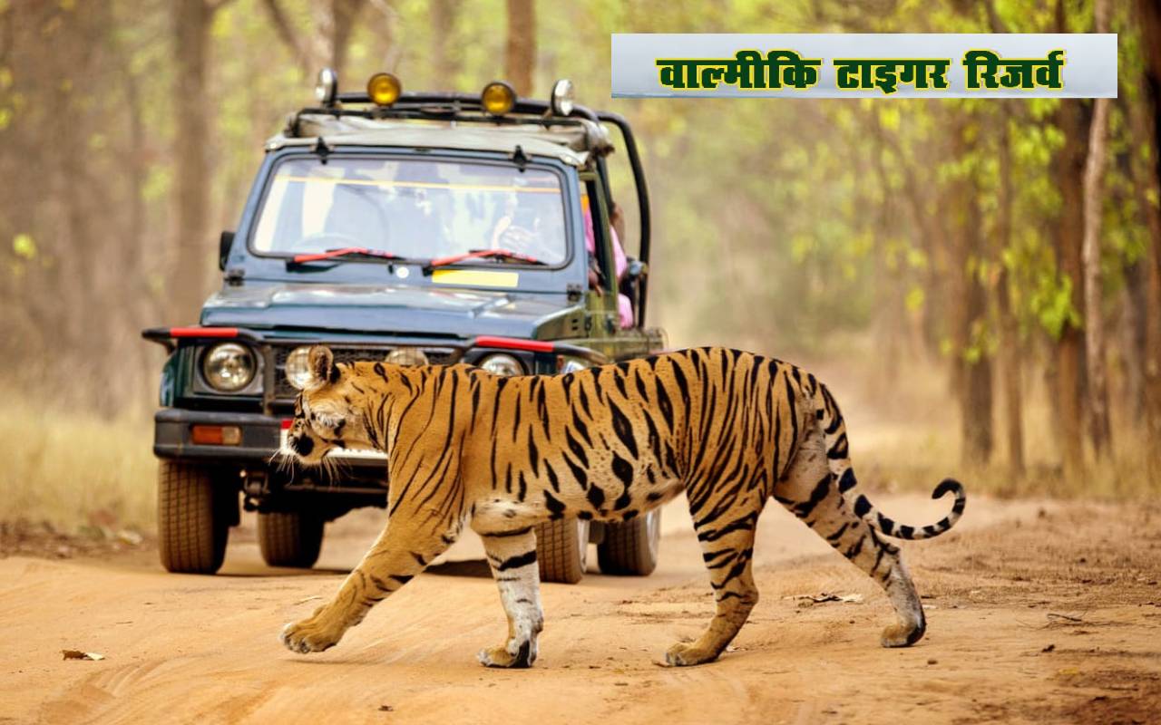 Bihar Tourist Destinations, Valmiki Tiger Reserve