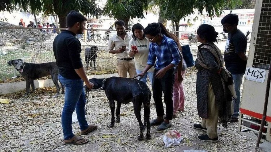 Umesh Pal murder case Atiq Ahmed dogs die of hunger disease