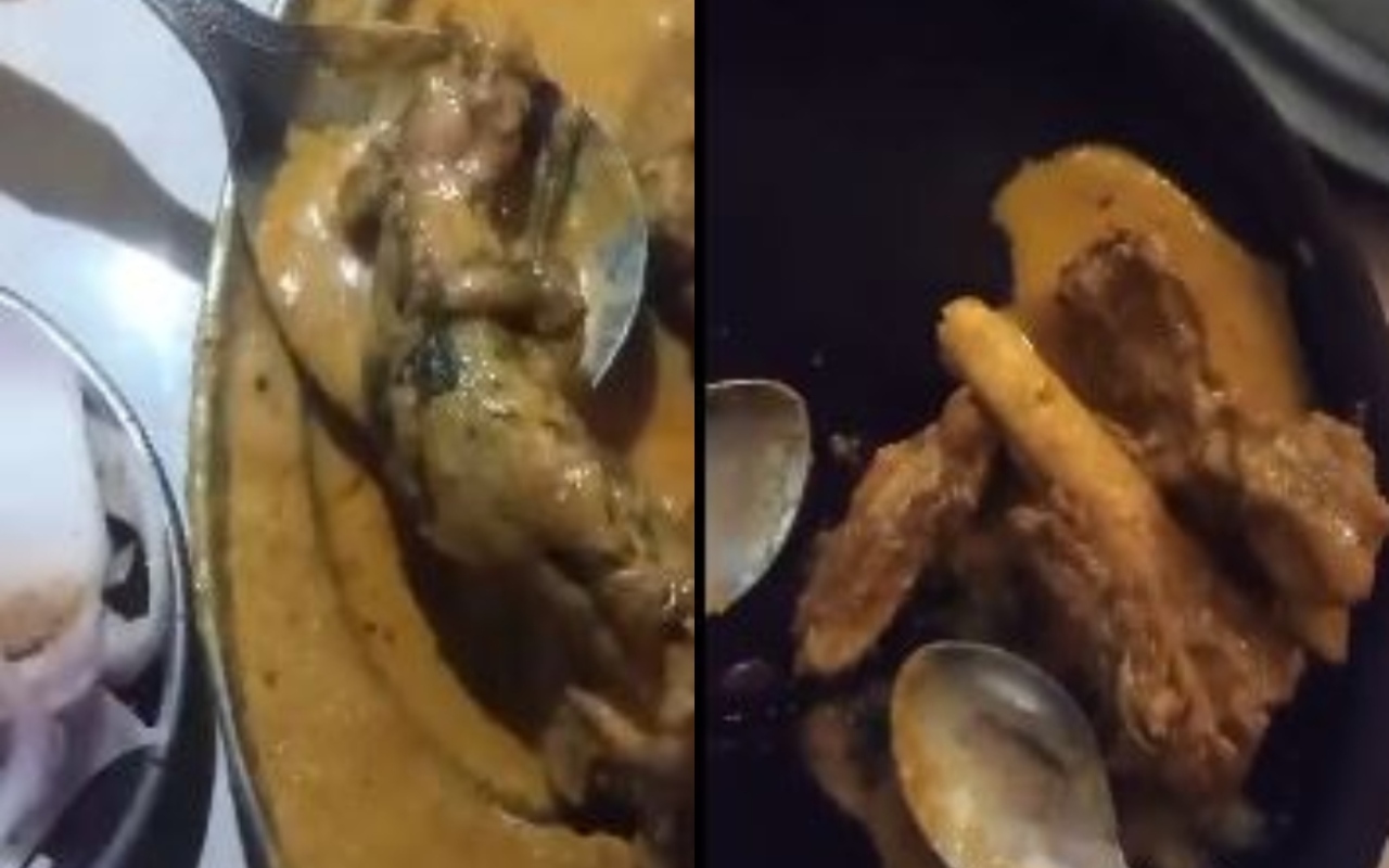 Rat Found In Mumbai Restaurant Dish