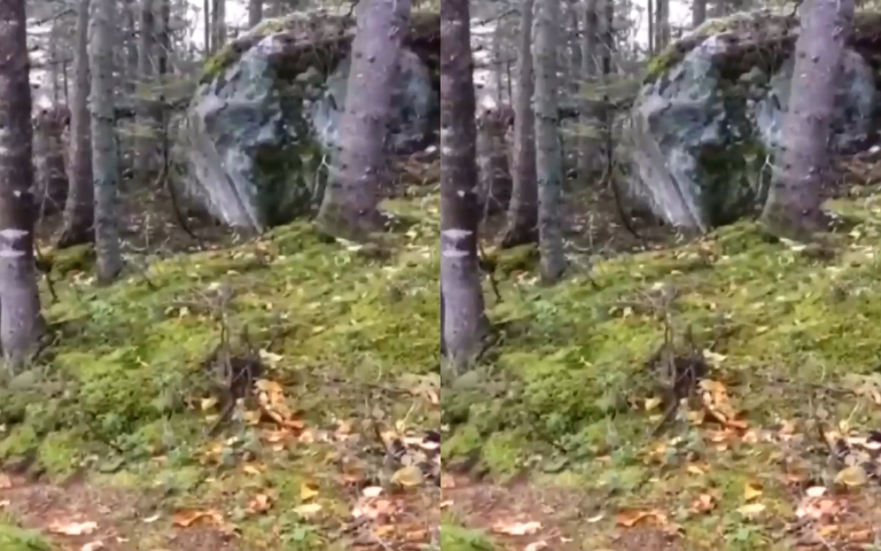 Viral Video Have you ever seen earth breathing