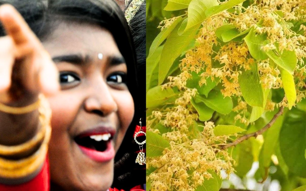 jharkhand sarhul festival revolution of sakhua flowers