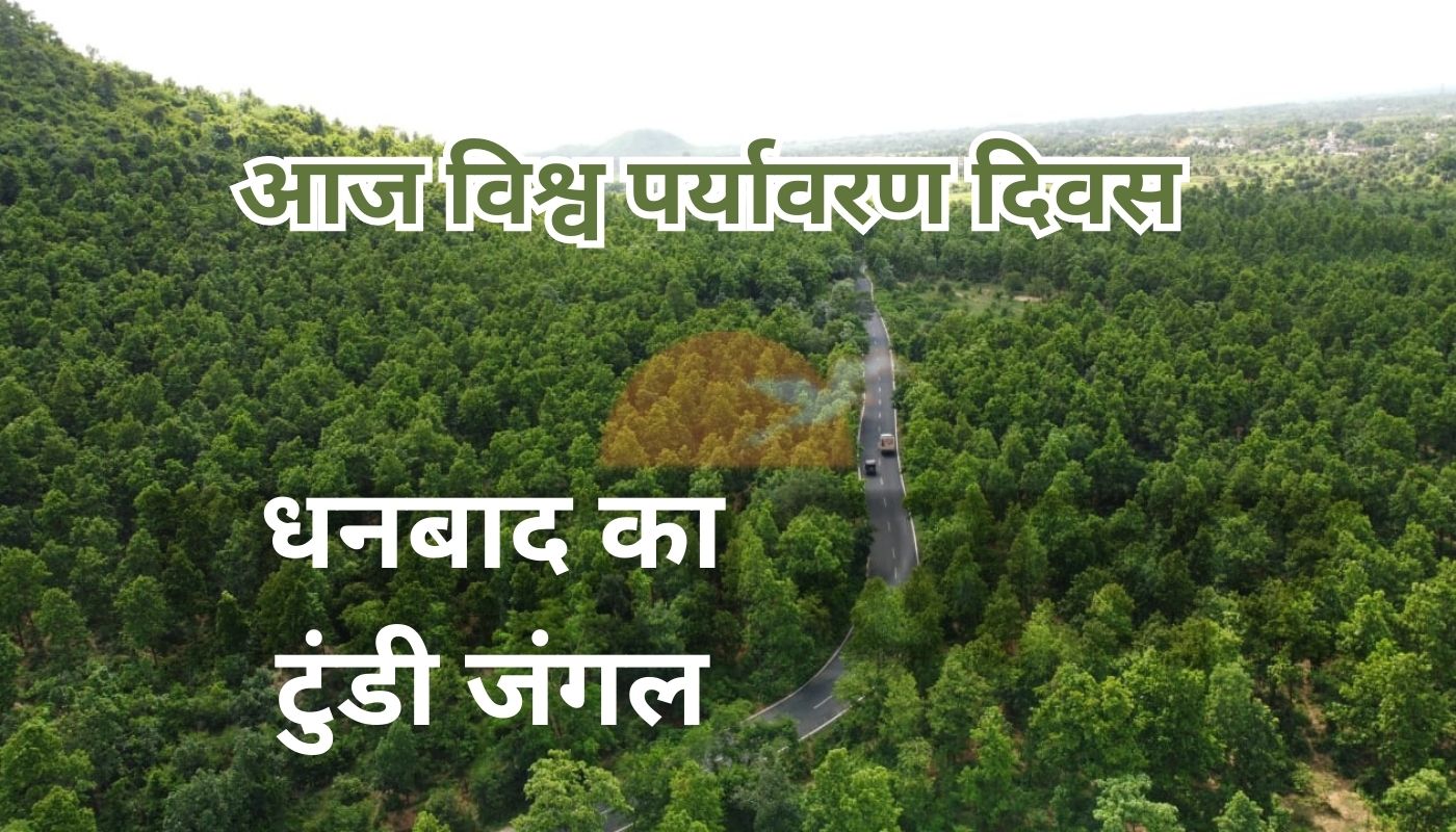 jharkhand world environment day trees cut forest increased
