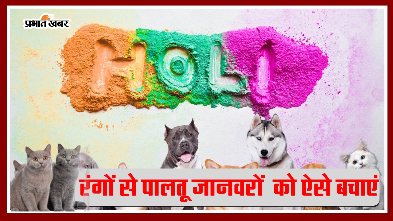 Pet Care Tips For Holi: रंगों के त्योहार में ऐसे करें अपने Pets का बचाव