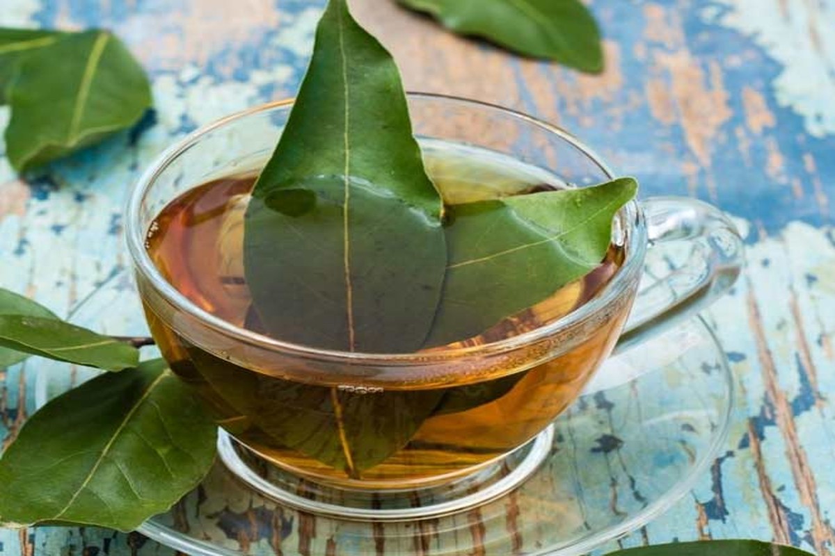 Tej Patte: तेजपत्ता का पानी पीने के 4 फायदे