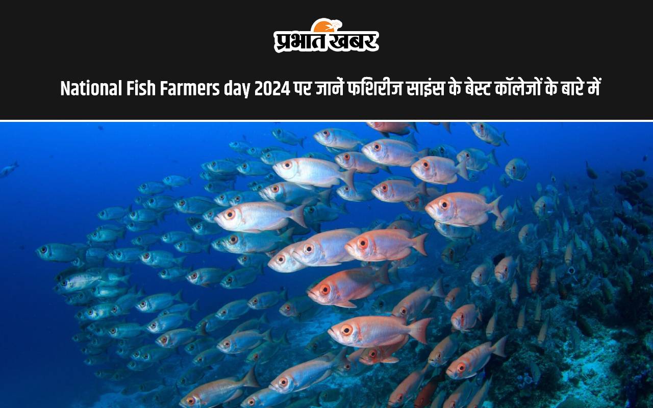 National Fish Farmers day 2024 पर जानें फिशरीज साइंस के बेस्ट कॉलेजों ...
