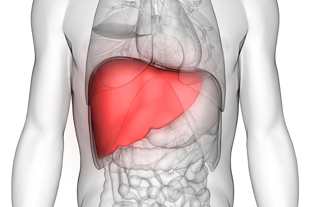 Liver Cirrhosis : क्या हैं लिवर सिरोसिस के 3 प्रमुख लक्षण? जानिए..