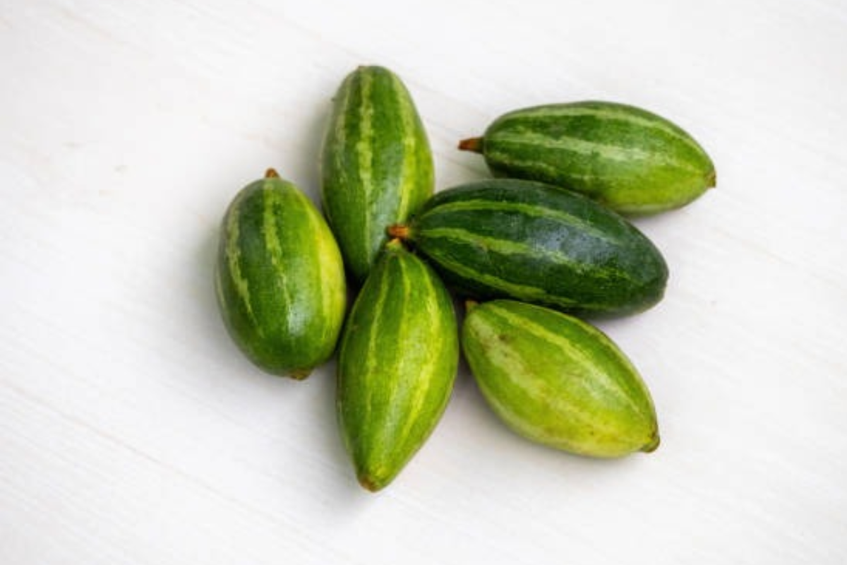 Health Benefits of Parwal, Recipe: परवल होता है बेहद गुणकारी, जानें ...