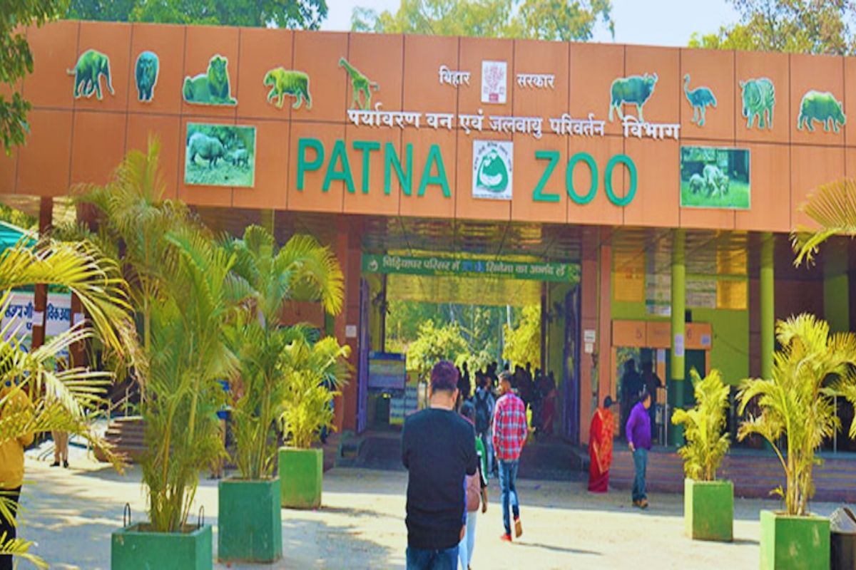 Patna Zoo: पटना जू जाने की कर रहे प्लानिंग तो पहले पढ़ लें ये खबर, इतने ...